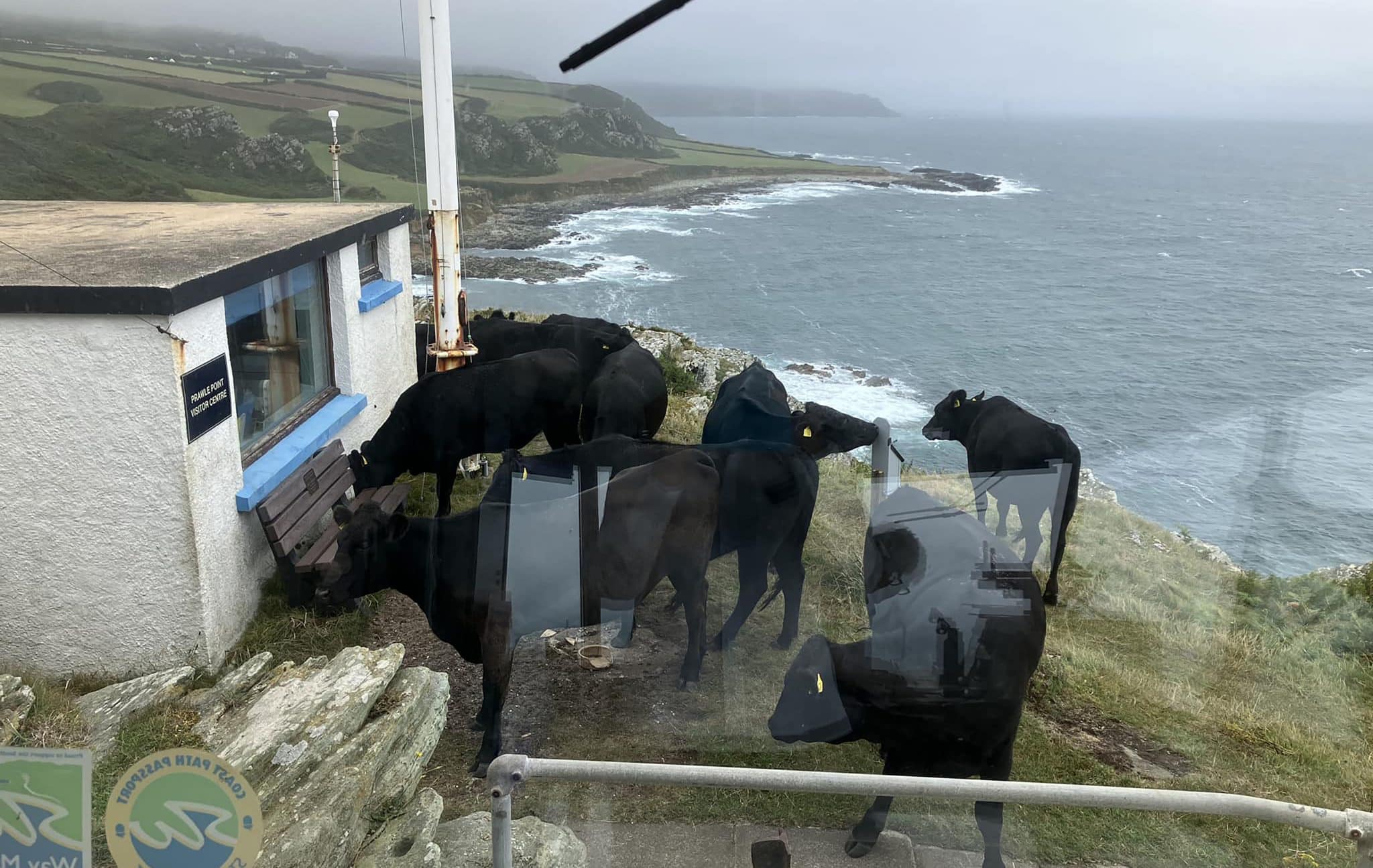NCI Prawle Point – Eyes along the Coast